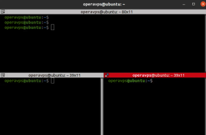 Install & Use Terminator on Linux [Run Multiple Terminals]
