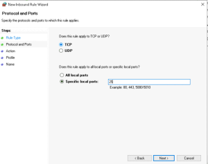 How to Install and Set Up SMTP Server on Windows?