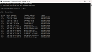 Use netstat Command in Windows {Check Network Connections}