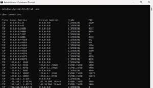 Use netstat Command in Windows {Check Network Connections}