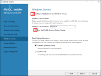Install MySQL on Windows Server Step by Step Guide